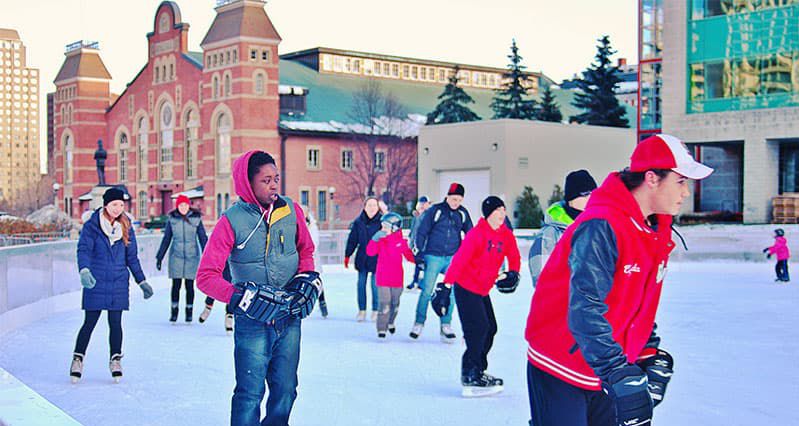 Rink of Dreams at city hall is now open · OttawaStart.com