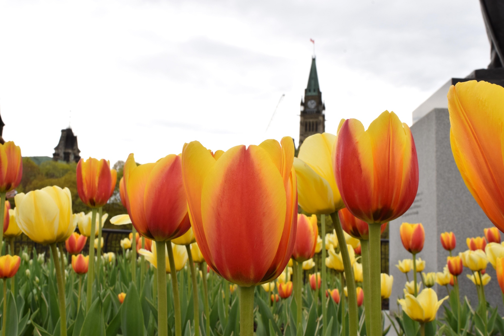 21 things to do in Ottawa this spring · OttawaStart.com