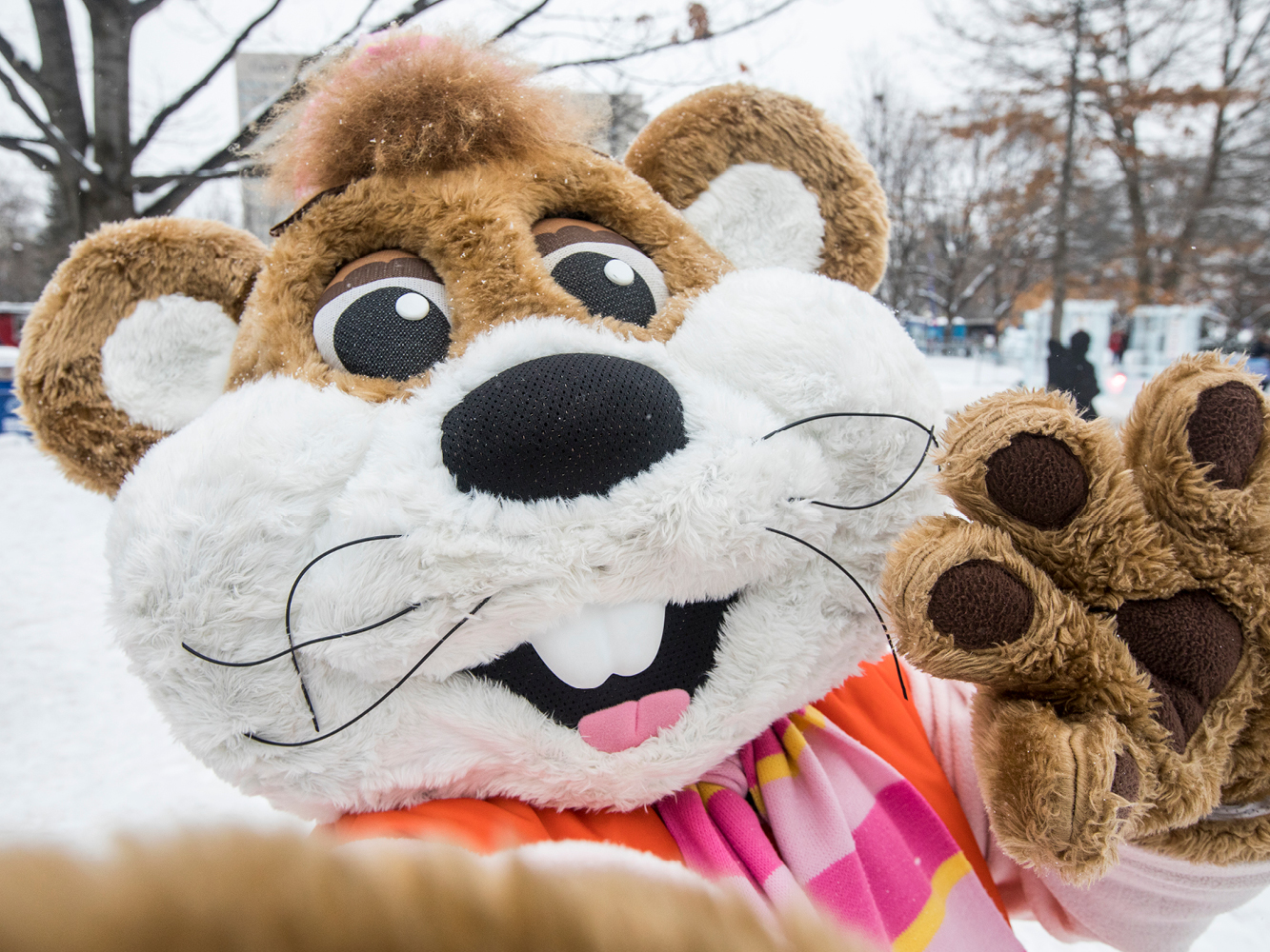 FEATURED: Enjoy a dazzling winter experience during Winterlude 2019 ...